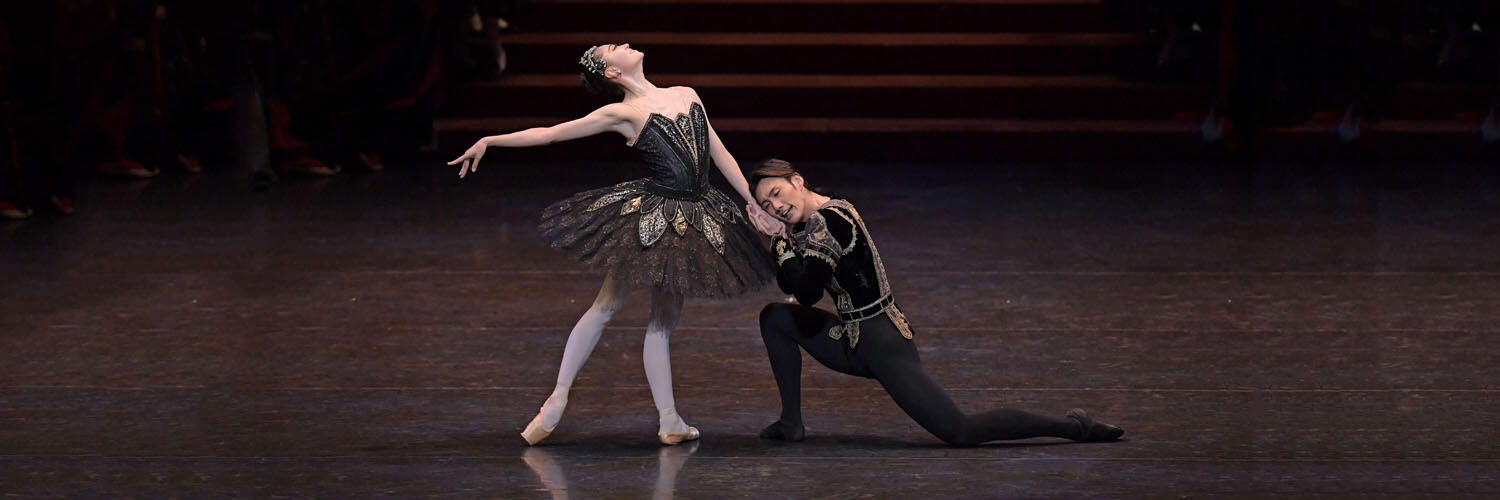Educational Programme-First Steps: Swan Lake | Ballet & Dance | NEW ...